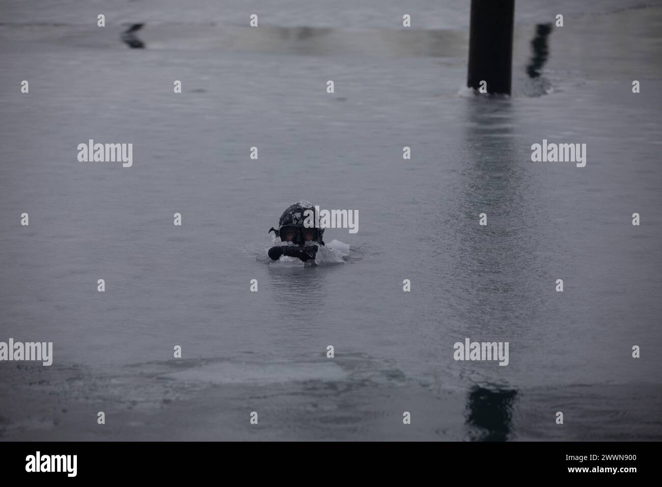 U.S. East Coast-based Naval Special Warfare Operators (SEALs), U.S ...