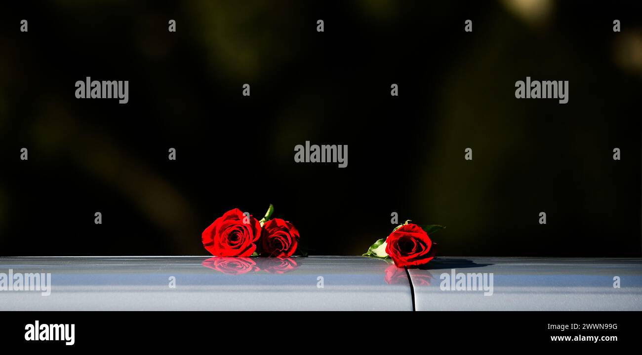 Roses are displayed on the casket of U.S. Army Cpl. Adin C. Norris Jr ...