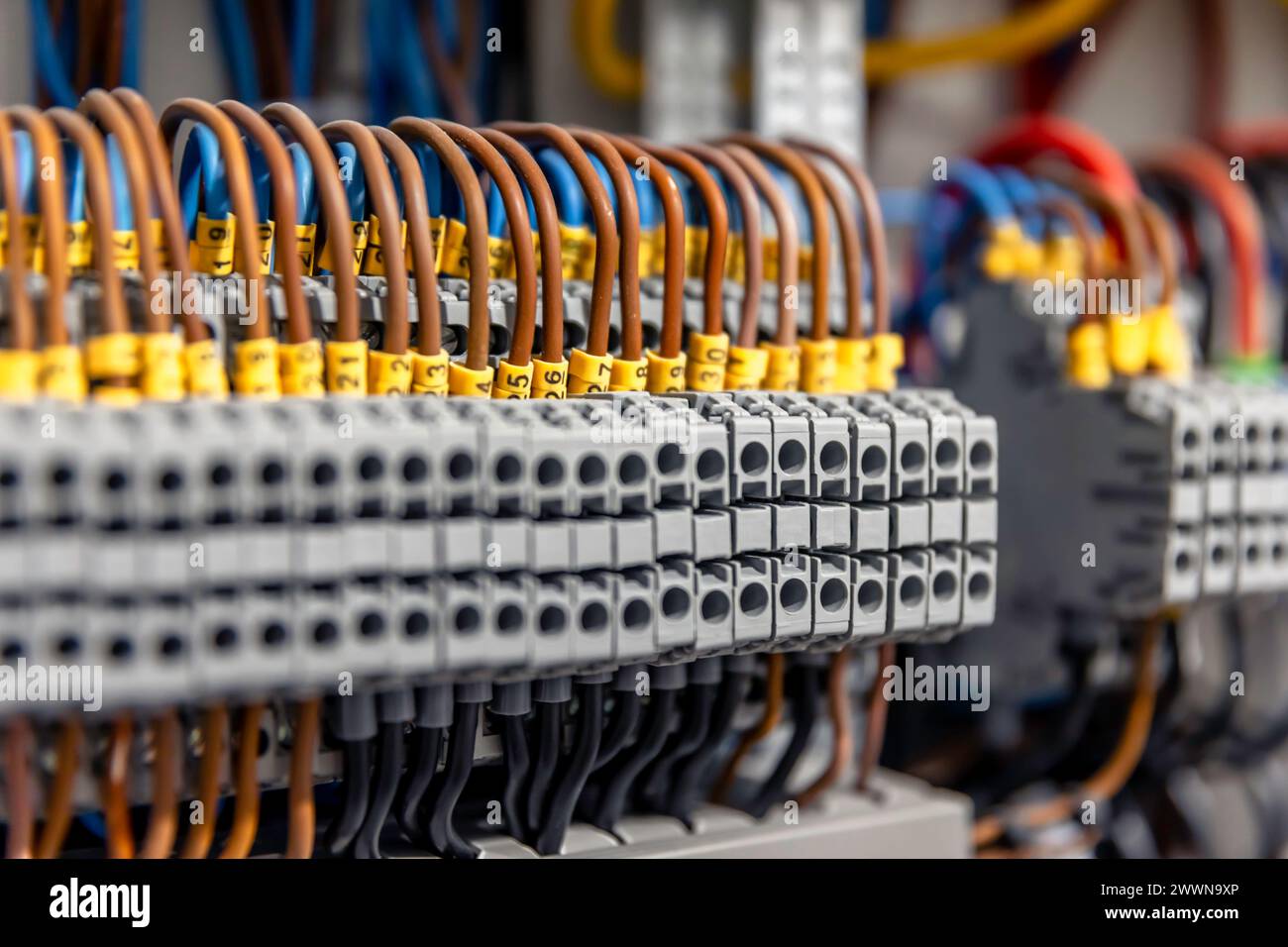 Electrical panel with fuses and contactors, close-up Stock Photo - Alamy