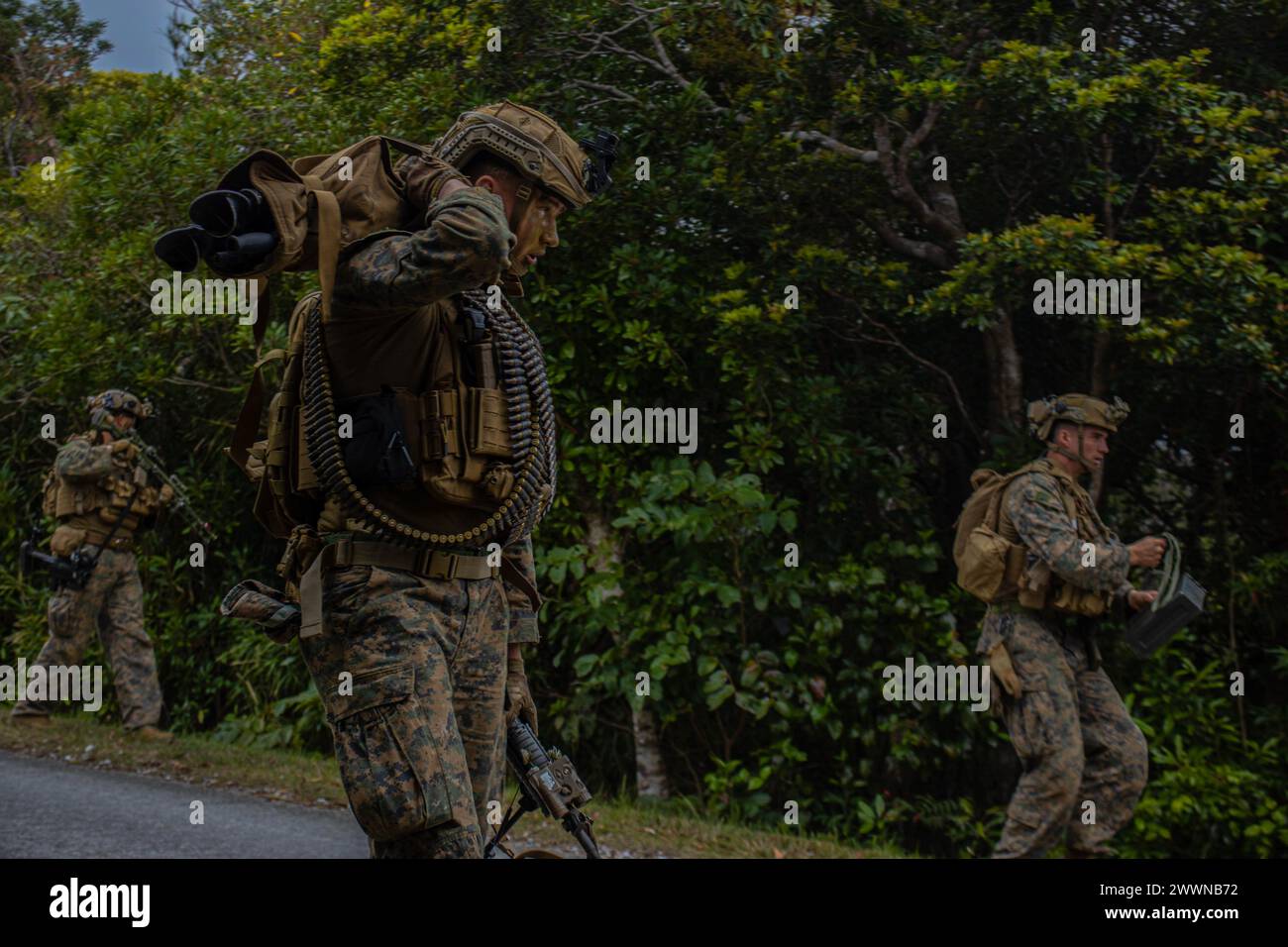 Blt 1 1 motorized raid hi-res stock photography and images - Alamy