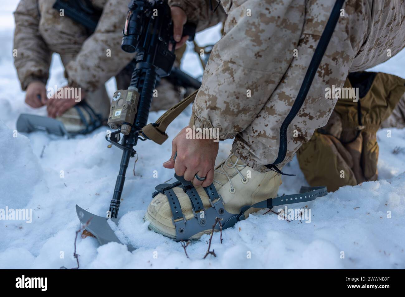 U.S. Marines with Fox Battery, 2nd Battalion, 14th Marine Regiment, 4th ...
