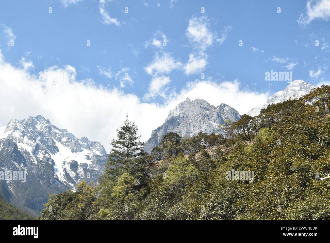 landscape top of Jade dragon snow mountain national park in China Stock ...