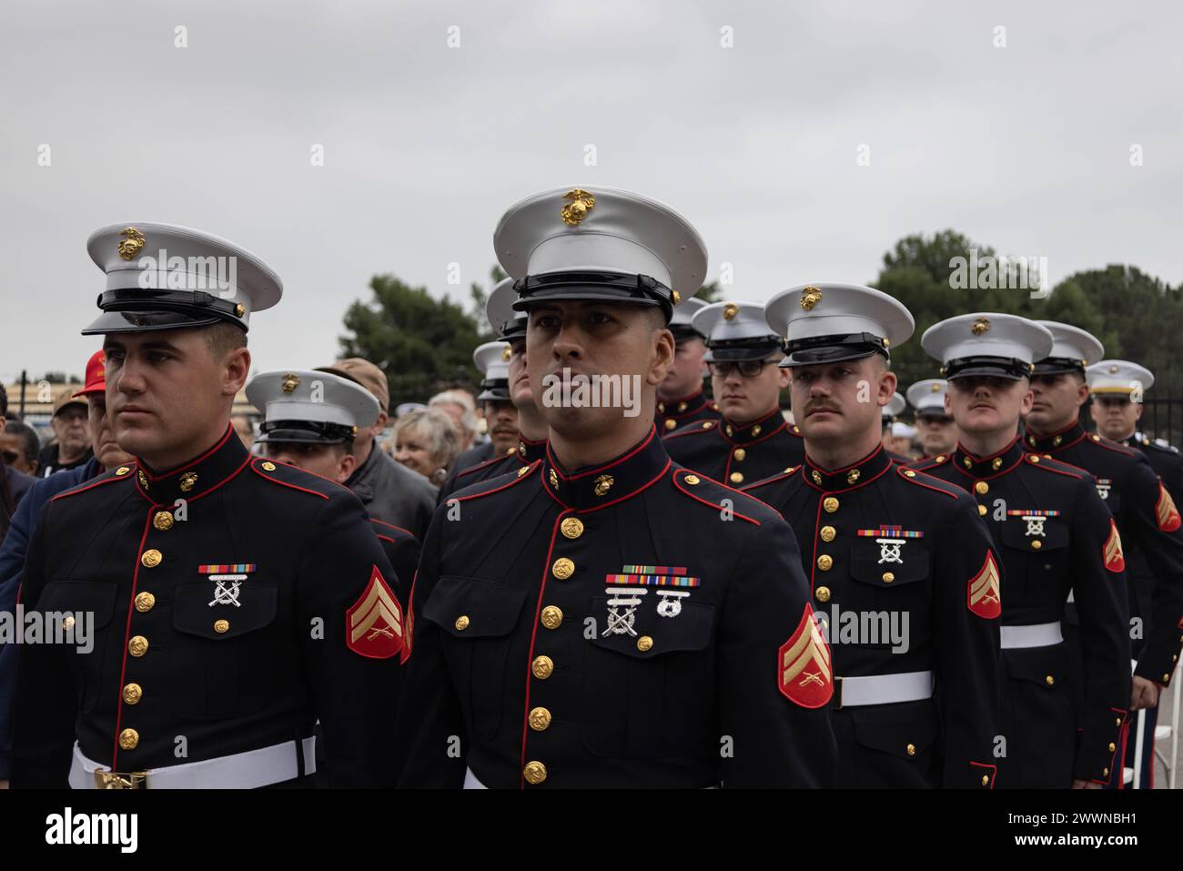 U.S. Marines with 1st Battalion, 11th Marine Regiment, 1st Marine ...