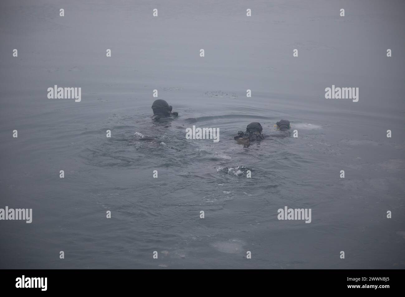 U.S. East Coast-based Naval Special Warfare Operators (SEALs), U.S ...