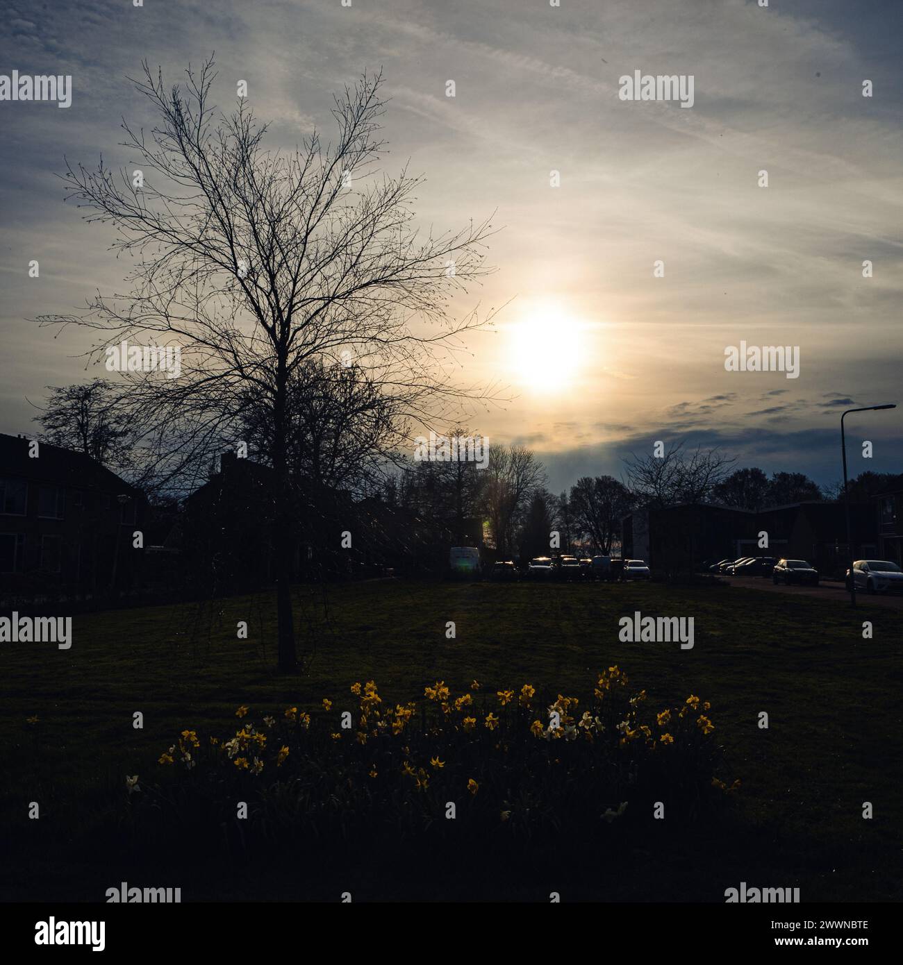 Shines radiant hi-res stock photography and images - Alamy