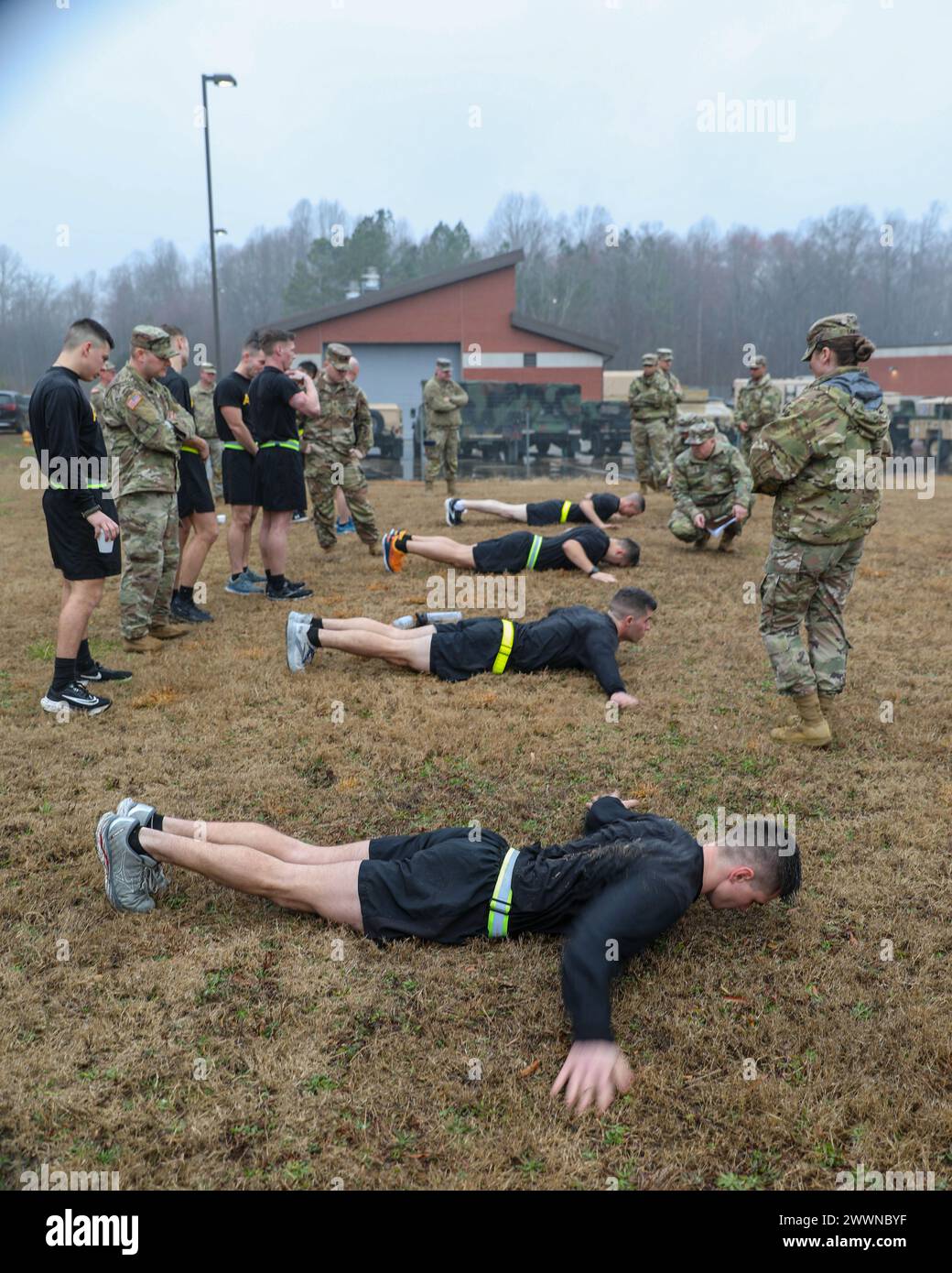 Tnng bwc hi-res stock photography and images - Alamy