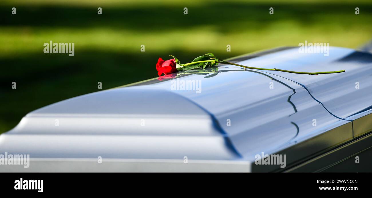 A rose is displayed on the casket of U.S. Army Cpl. Adin C. Norris Jr ...