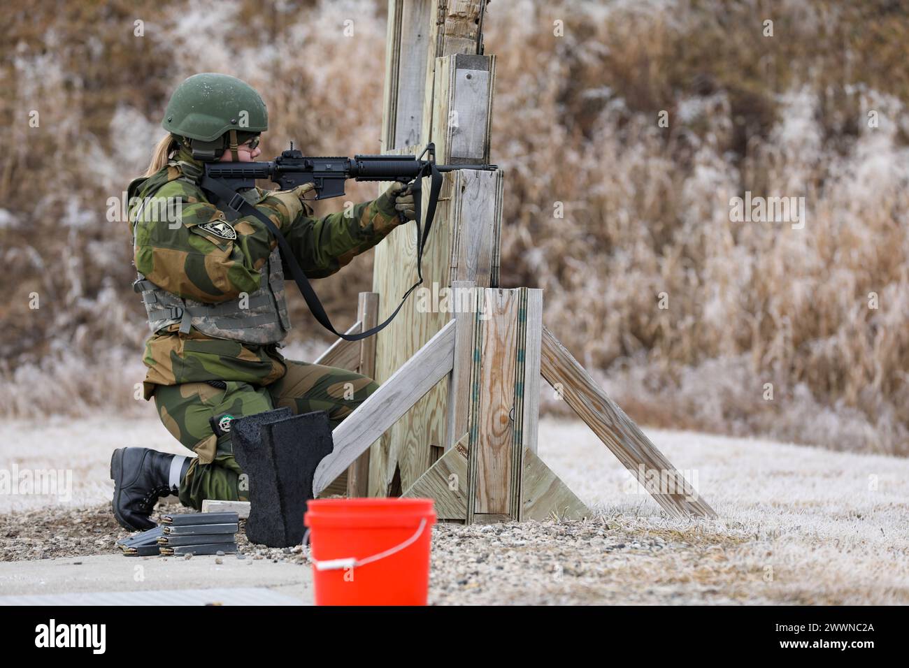 Norwegians in the Norwegian Home Guard Rapid Response Force and Home ...