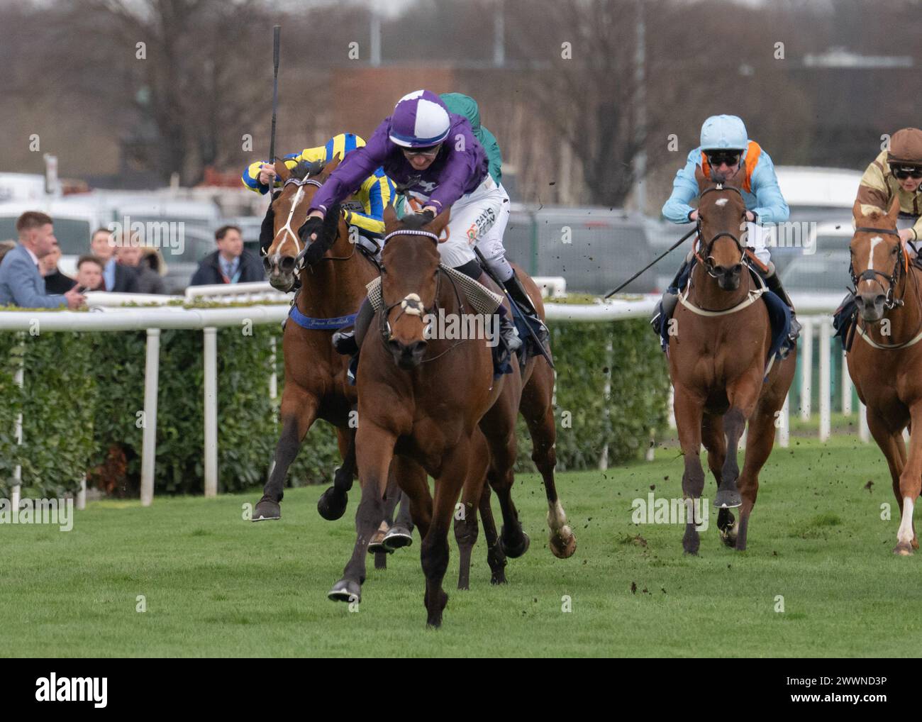 Mr Professor wins the William Hill Lincoln at Doncaster on 23 March 2024 for Dominic Ffrench ...