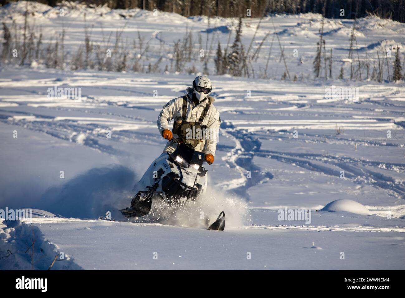U.S. Army 10th Special Forces Group (Airborne) Green Beret drives a ...