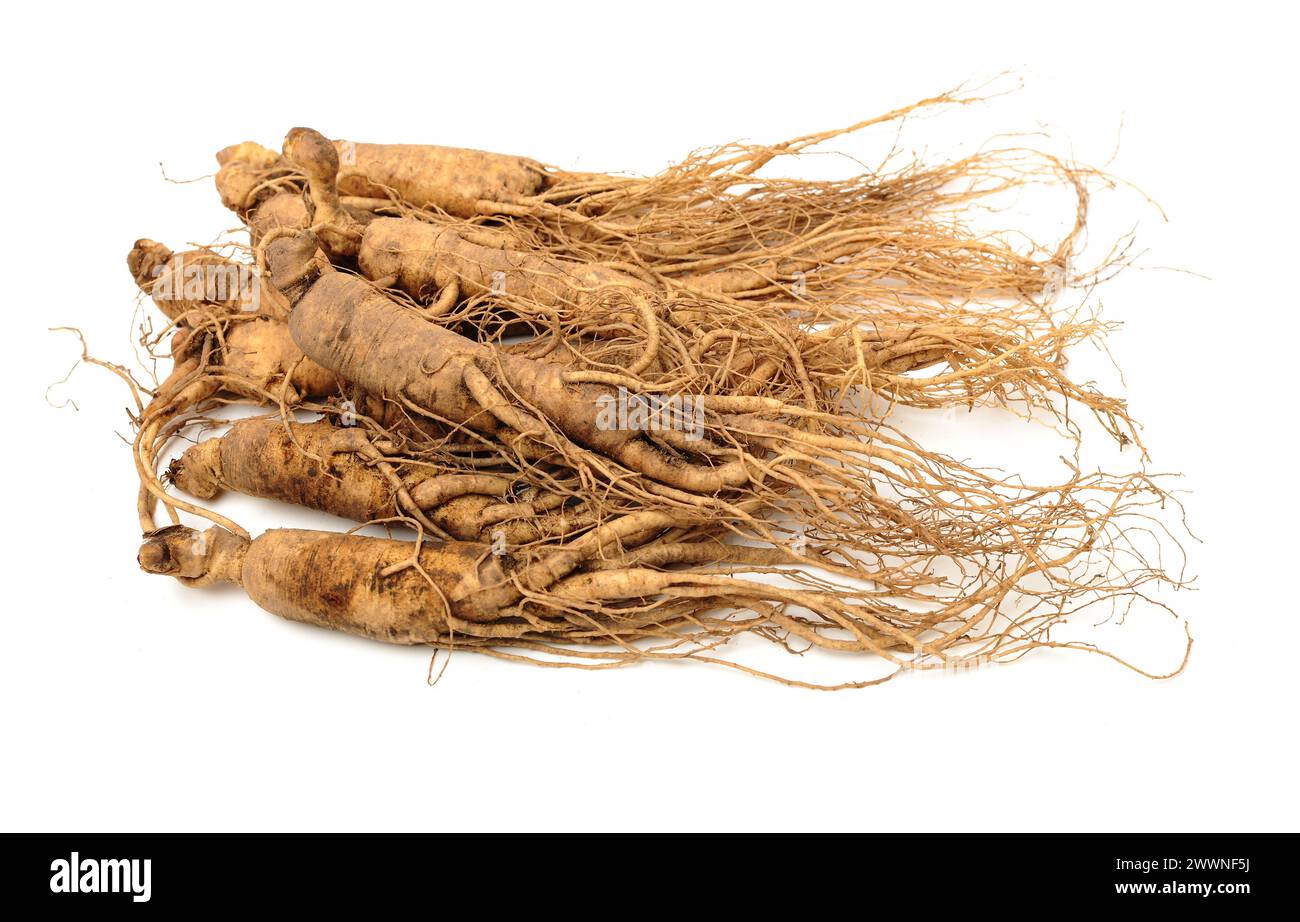 ginseng isolated on white background Stock Photo - Alamy