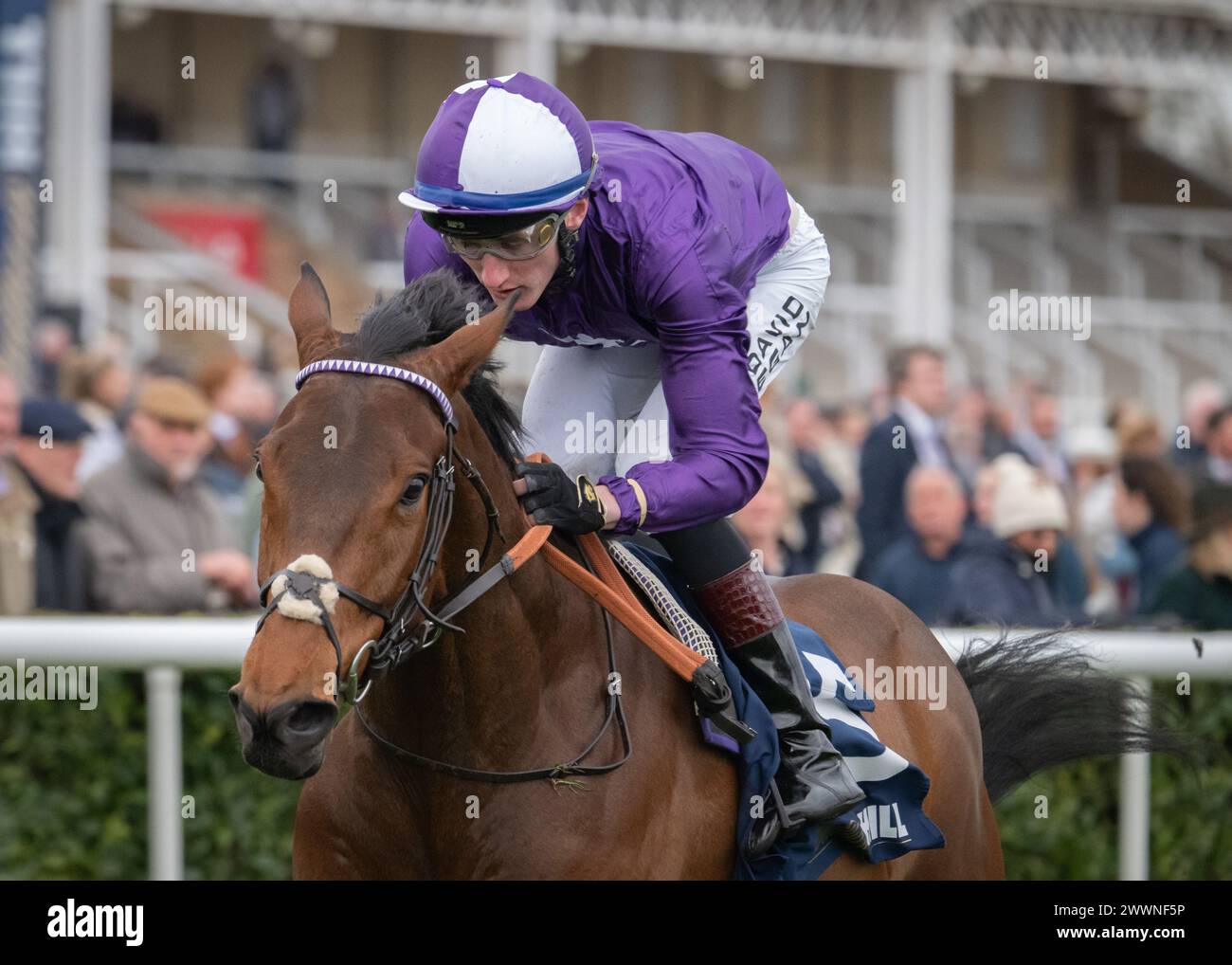 David egan 2024 hi-res stock photography and images - Alamy
