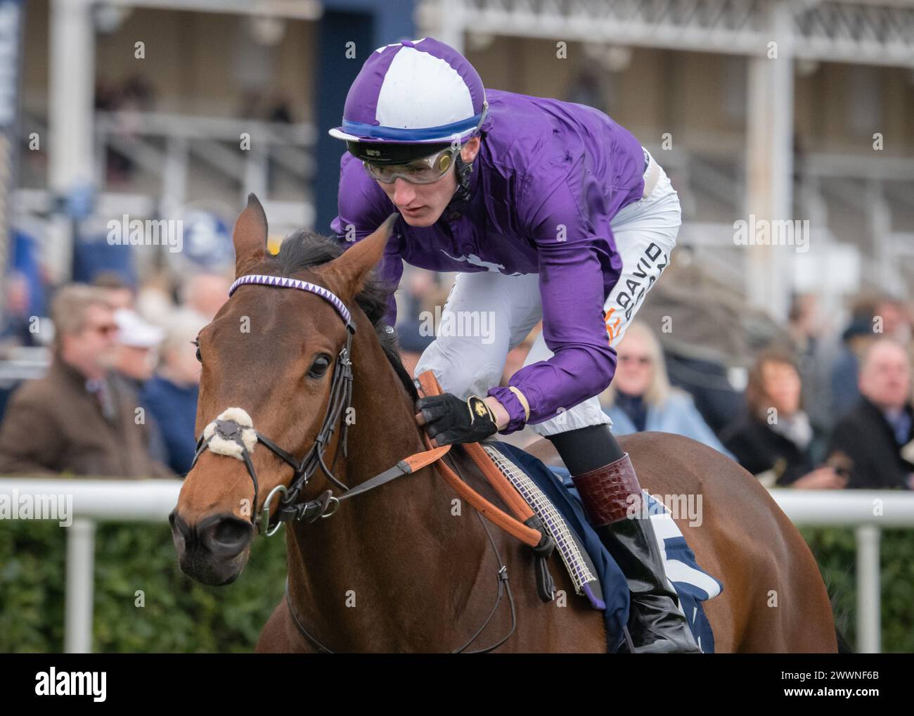 Mr Professor wins the William Hill Lincoln at Doncaster on 23 March ...