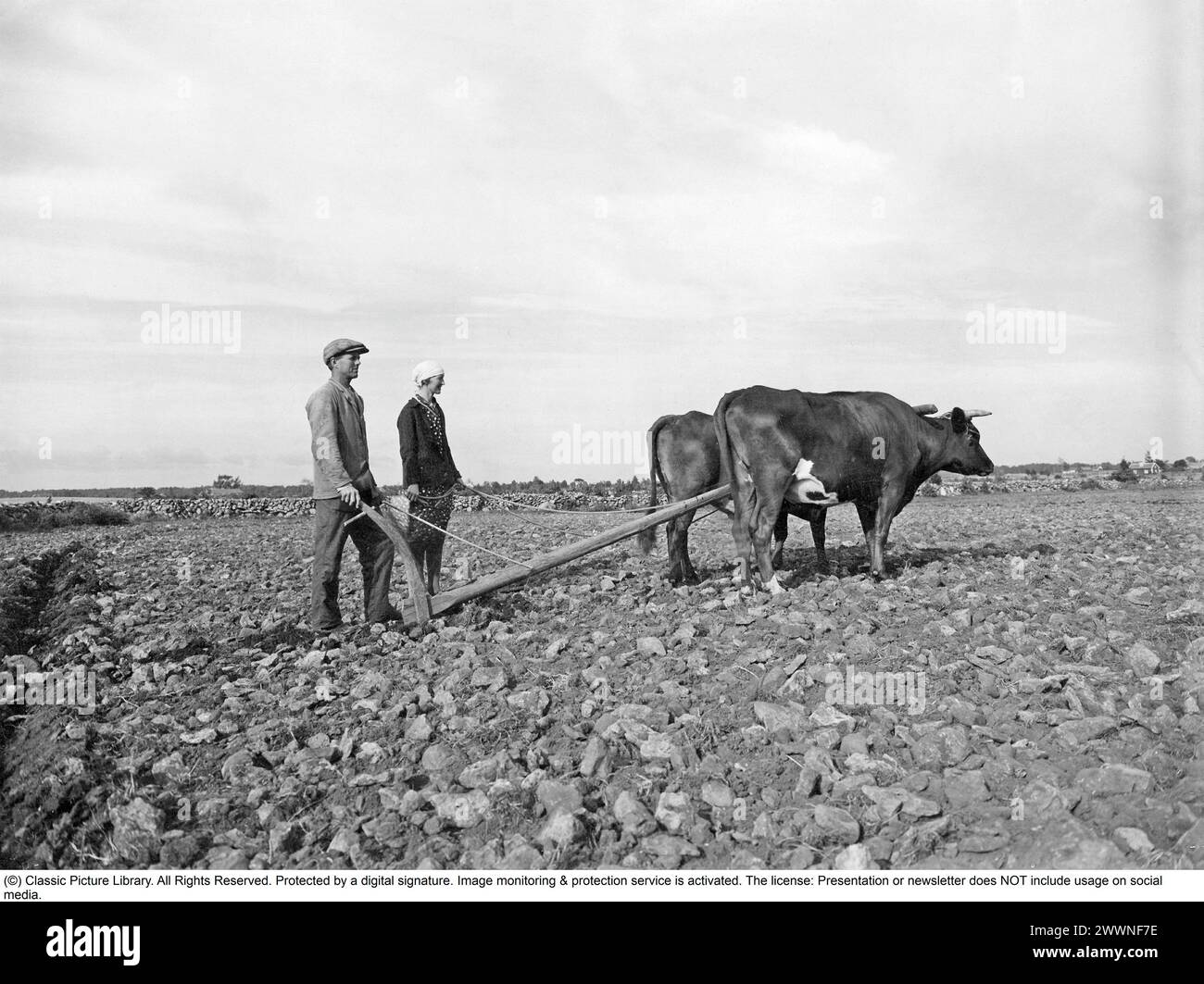 Farm workers 1930s hi-res stock photography and images - Alamy
