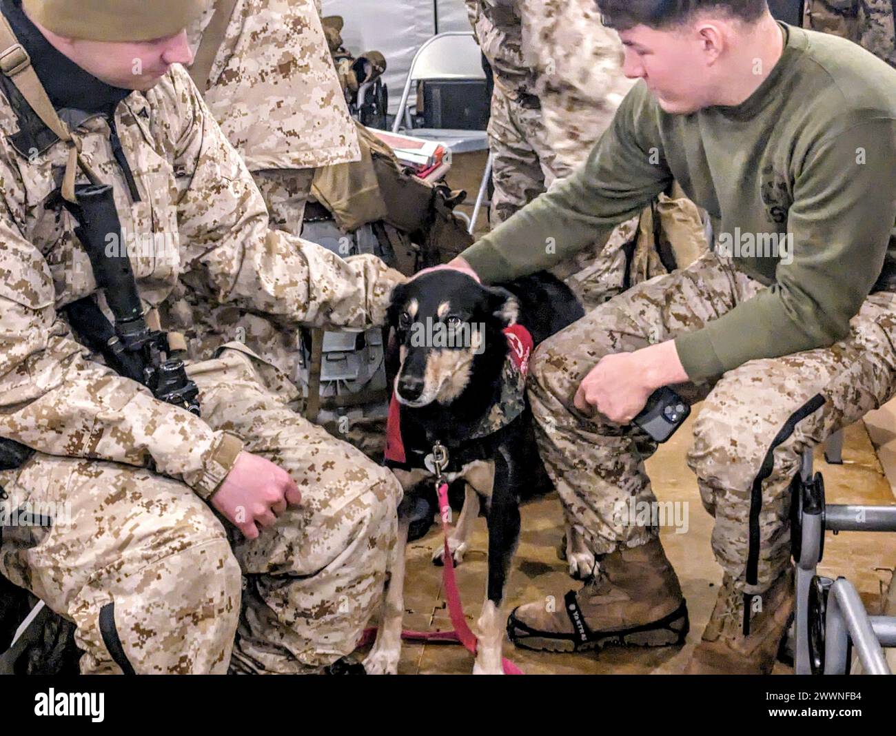 Marines from Fox Battery, 2nd Battalion, 14th Marine Regiment, visit ...