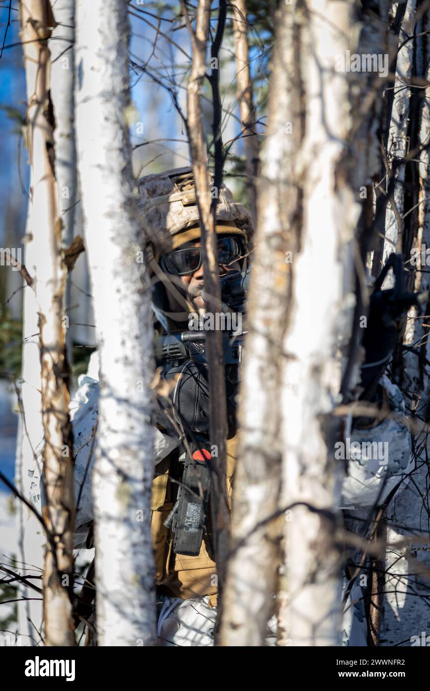 U.S. Staff Sgt. Marshal Wenong, antitank missileman with Fox Battery ...