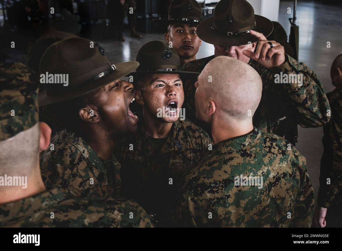 U.S. Marine Corps drill instructors with Mike Company, 3rd Recruit ...