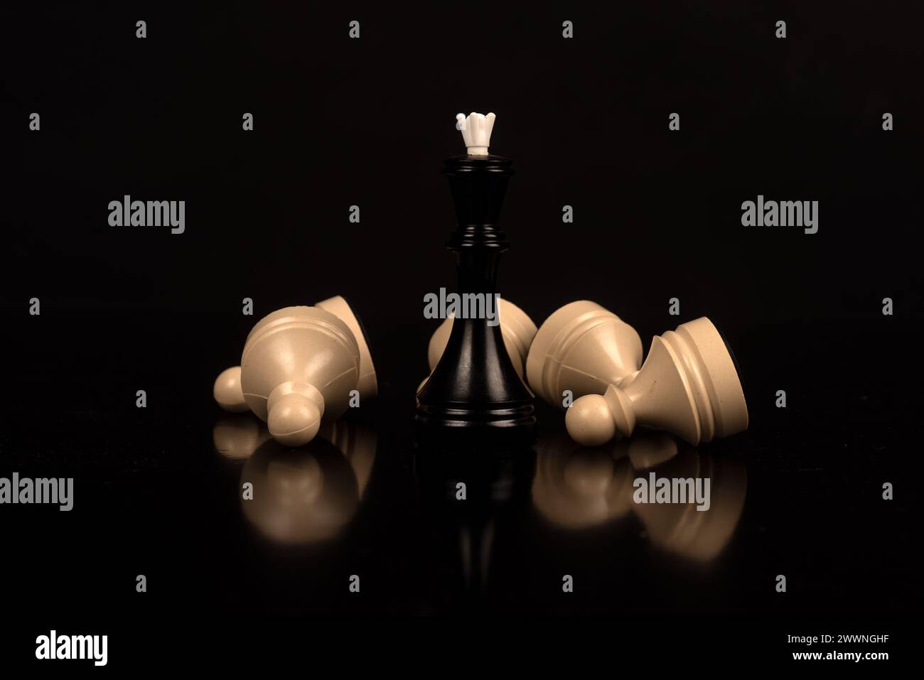 Black queen victory white fallen pawn pieces in chess battle. Strategy ...