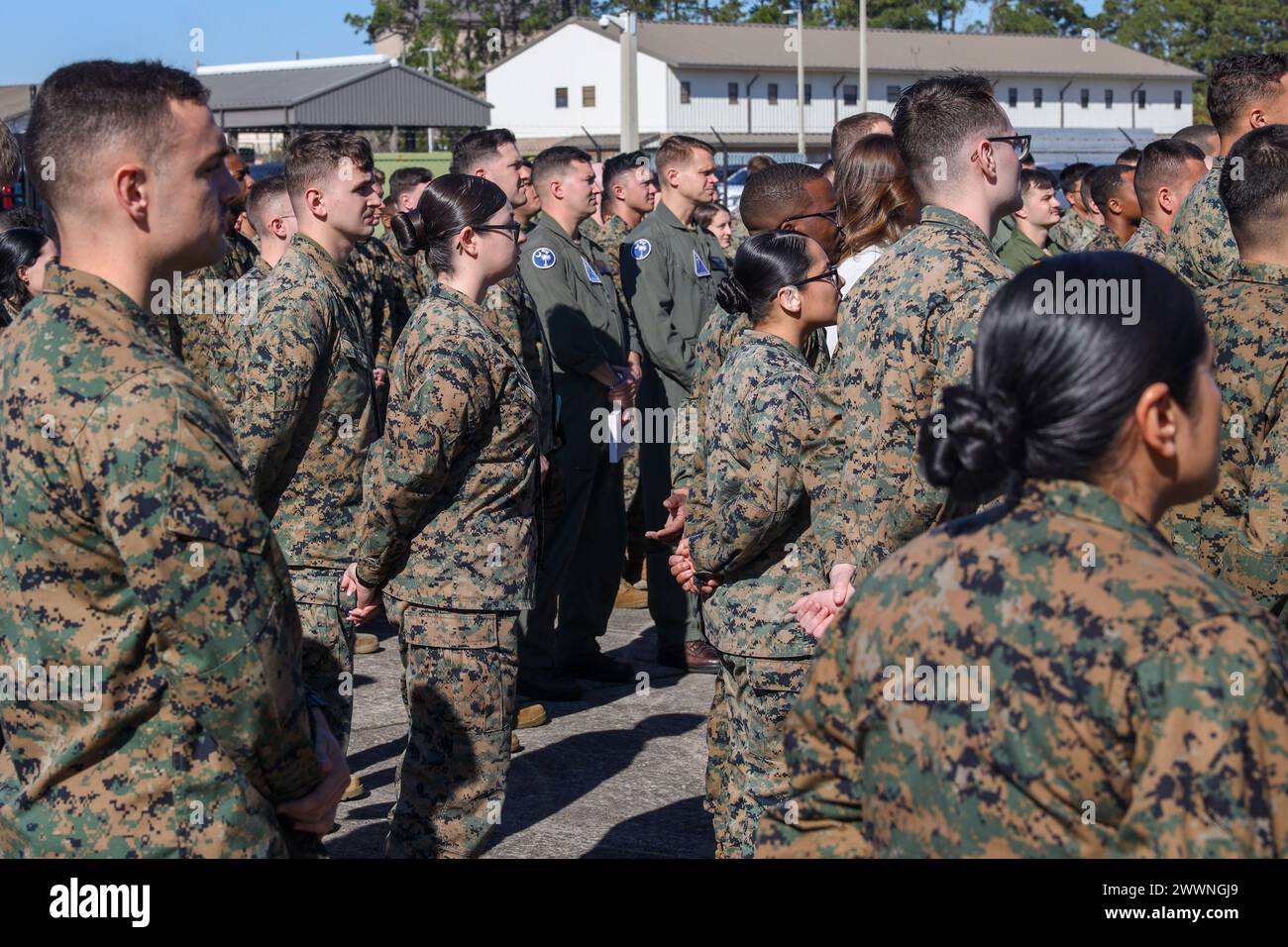 U.S. Marines with Marine Aviation Logistics Squadron (MALS) 31, Marine ...