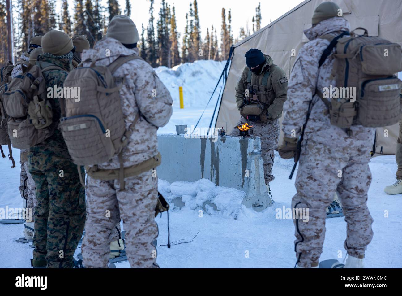 U.S. Marines with Fox Battery, 2nd Battalion, 14th Marine Regiment, 4th ...