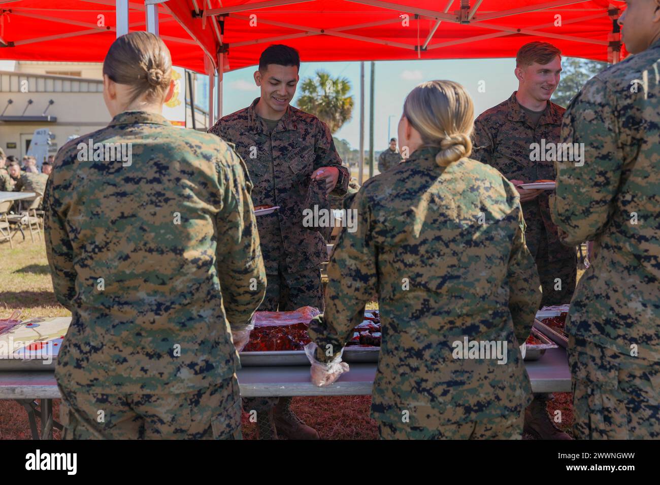 U.S. Marines with Marine Aviation Logistics Squadron (MALS) 31, Marine ...
