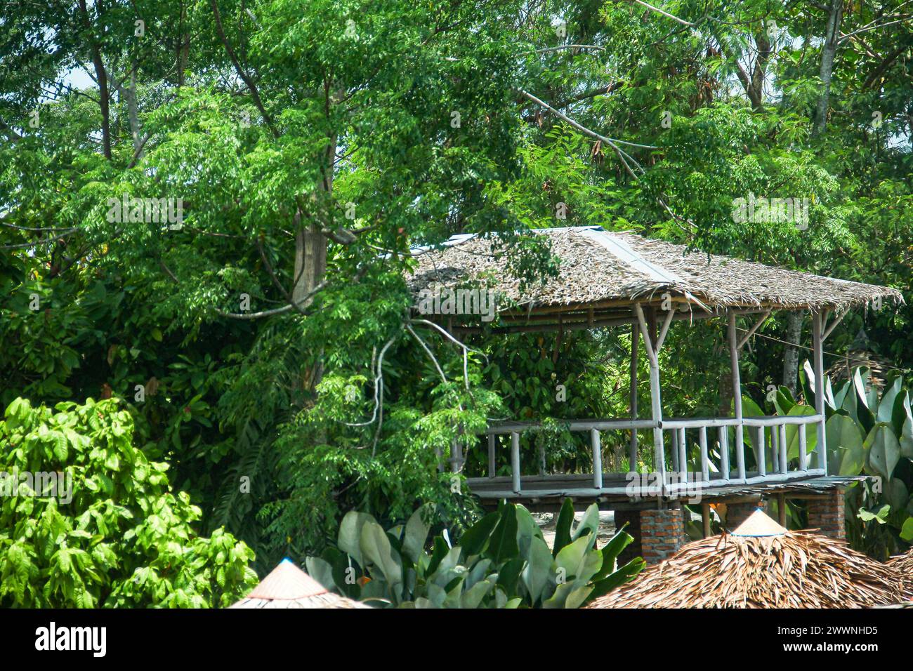 Tree huts made of wood and traditional roofs are located next to lush trees Stock Photo - Alamy