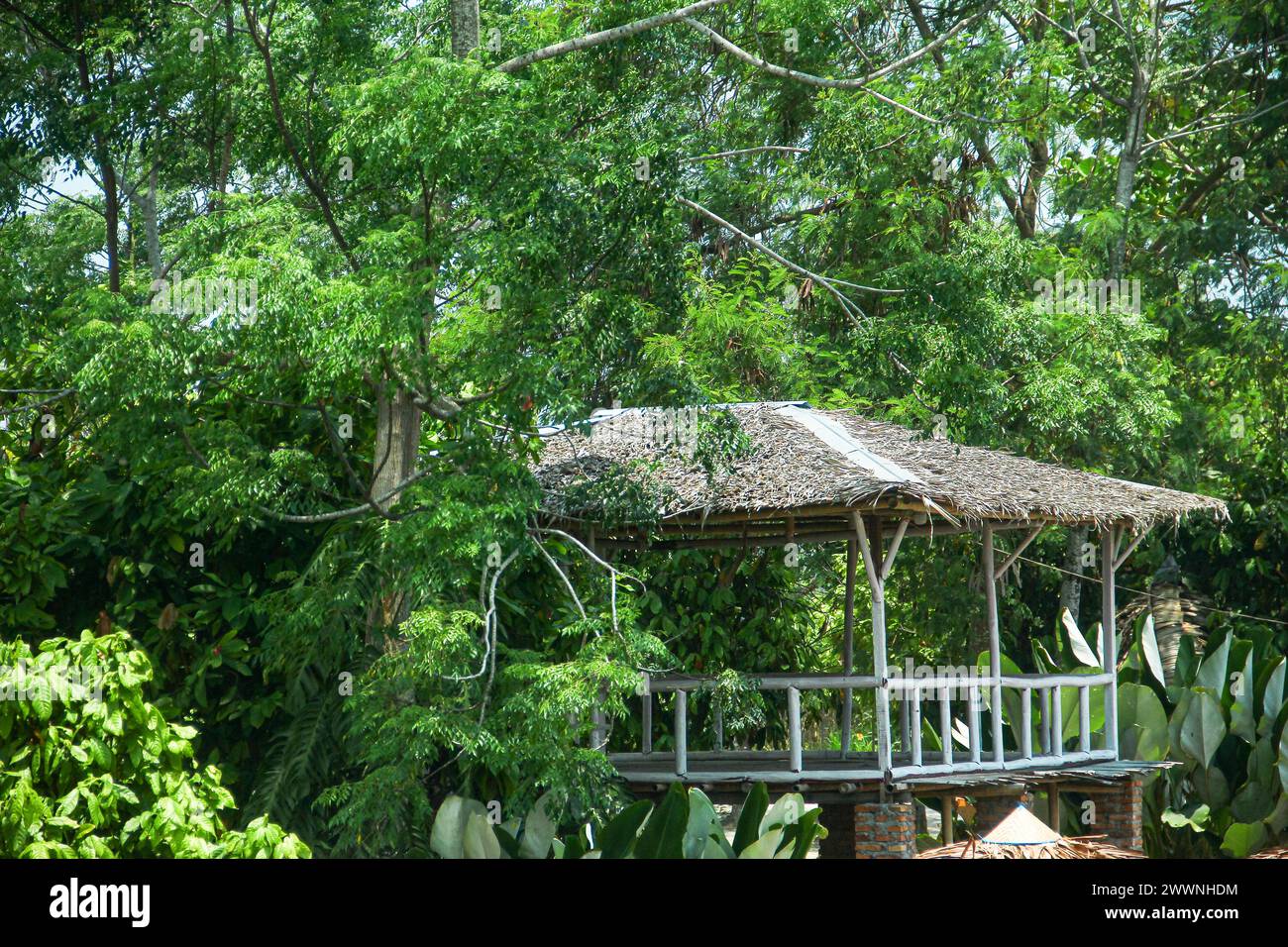 Tree huts made of wood and traditional roofs are located next to lush trees Stock Photo - Alamy