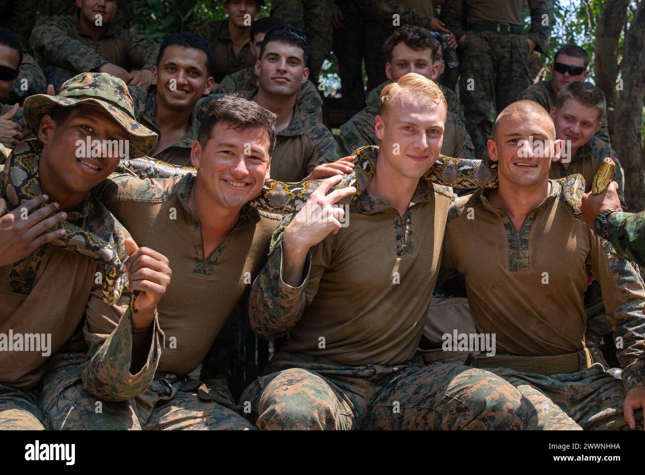 Hold a snake hi-res stock photography and images - Alamy