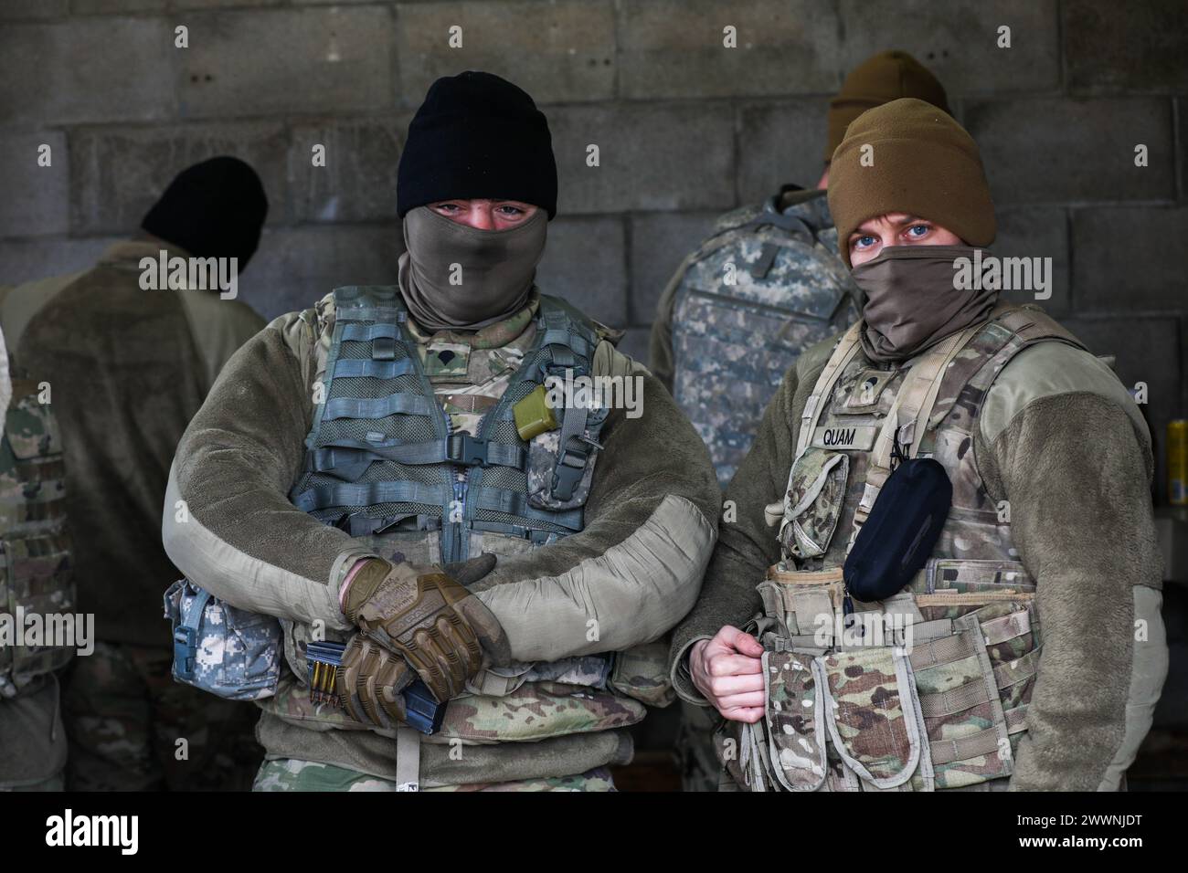 Norwegians in the Norwegian Home Guard Rapid Response Force and Home ...