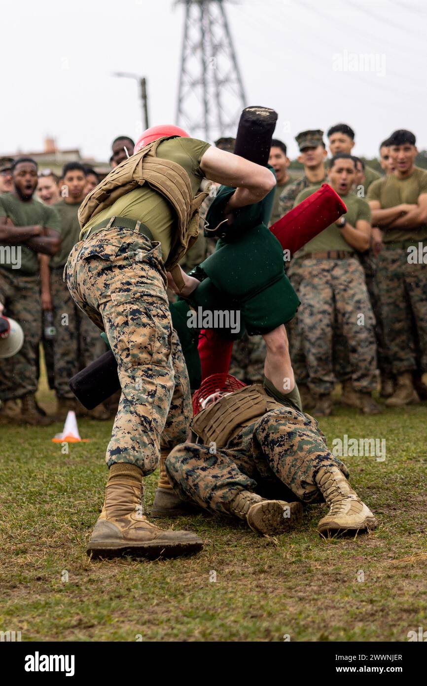 U.S. Marines with Marine Wing Support Squadron (MWSS) 172 and Marine Aviation Logistics Squadron ...