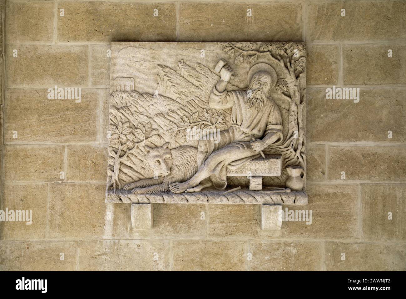 Marinus the dalmation hi-res stock photography and images - Alamy