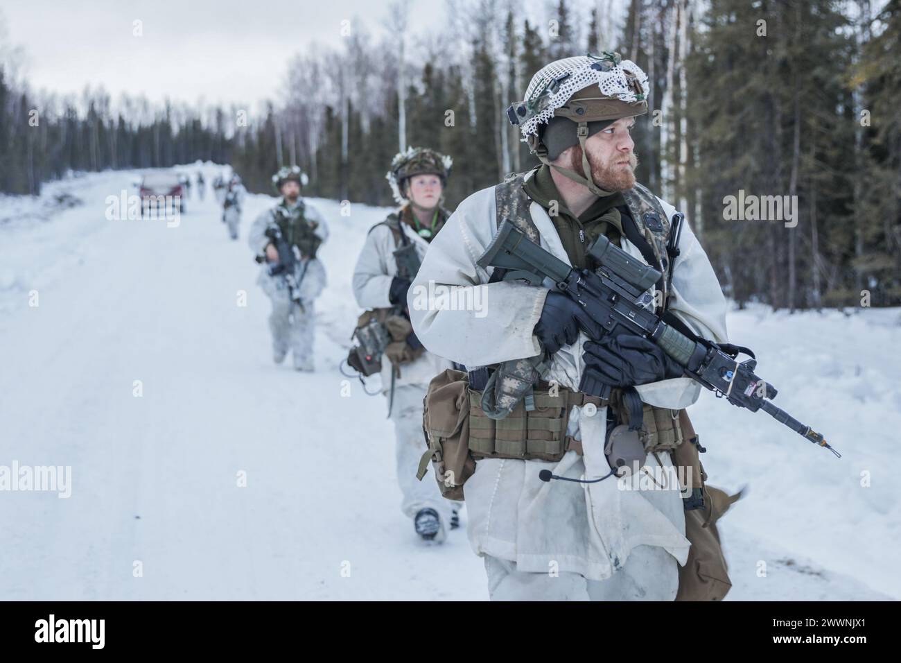 Canadian Soldiers from Alpha (Para) Company, 3rd Battalion, Princess ...