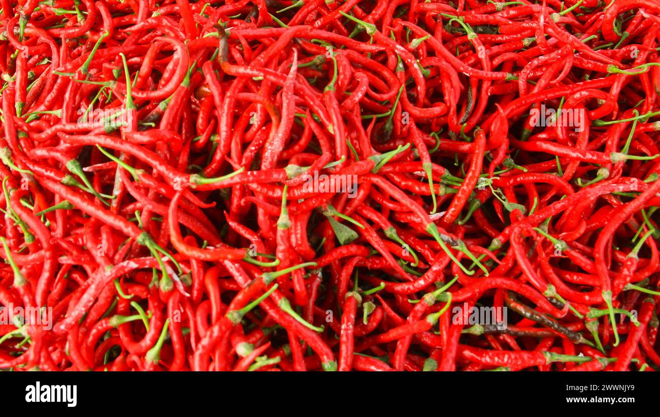 Photographed fresh red chilies fill the screen Stock Photo - Alamy