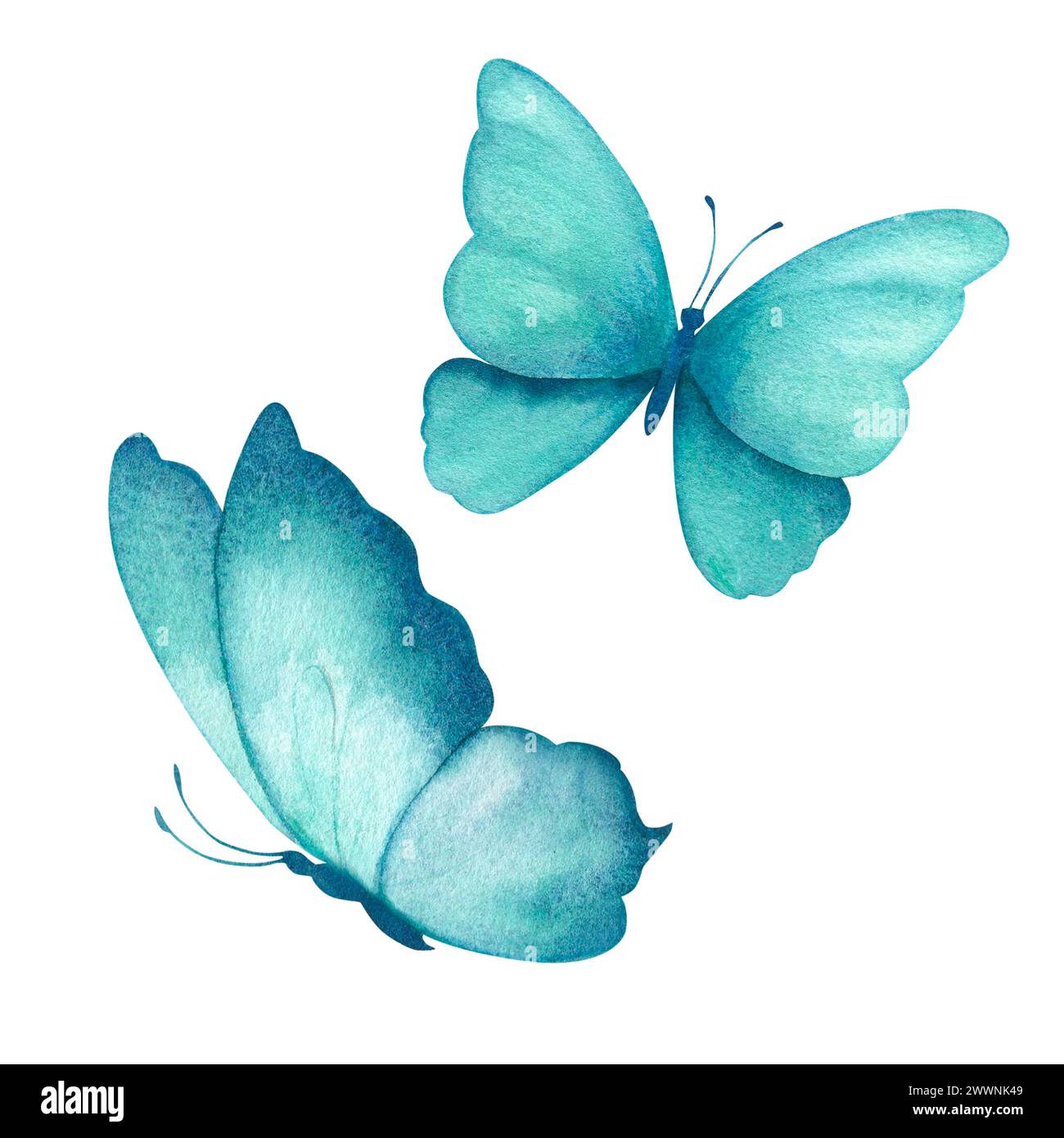Watercolor illustration of delicate turquoise butterflies. Handmade ...