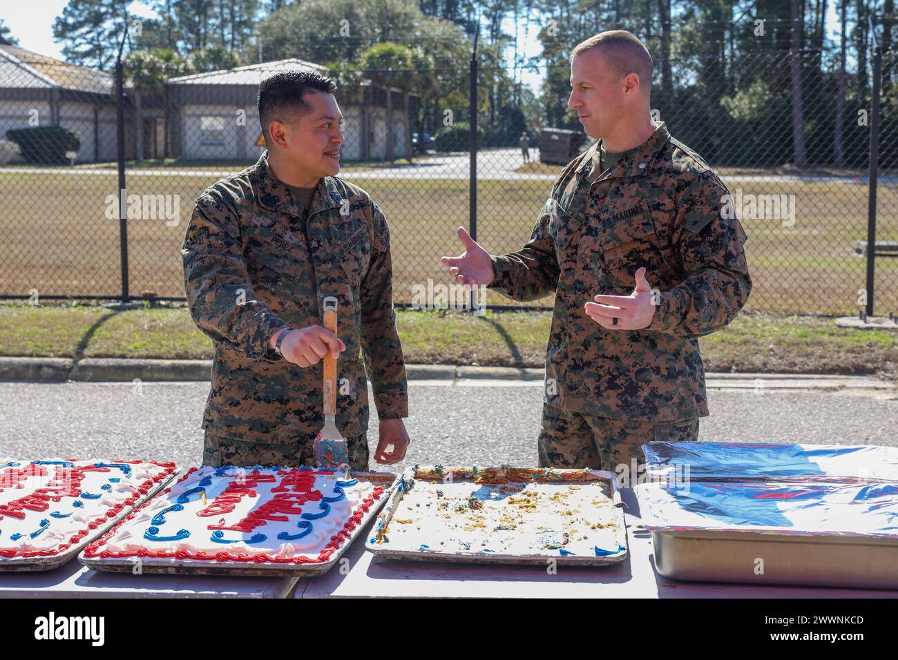 U.S. Marine Corps Lt. Col. Stephen Ritchie, commanding officer, Marine ...