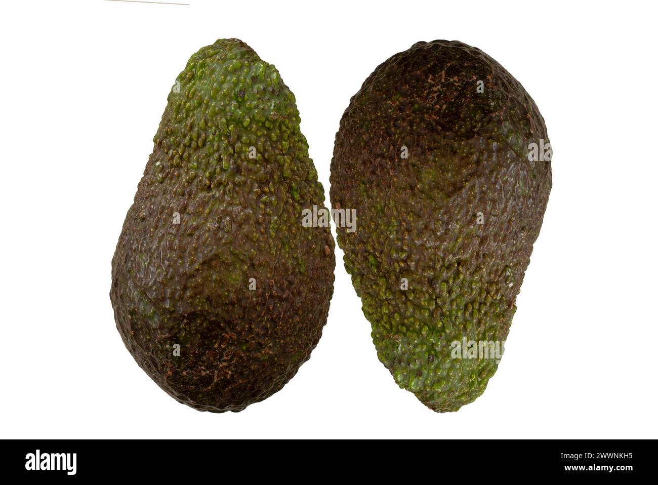 Two avocadoes on white background Stock Photo - Alamy