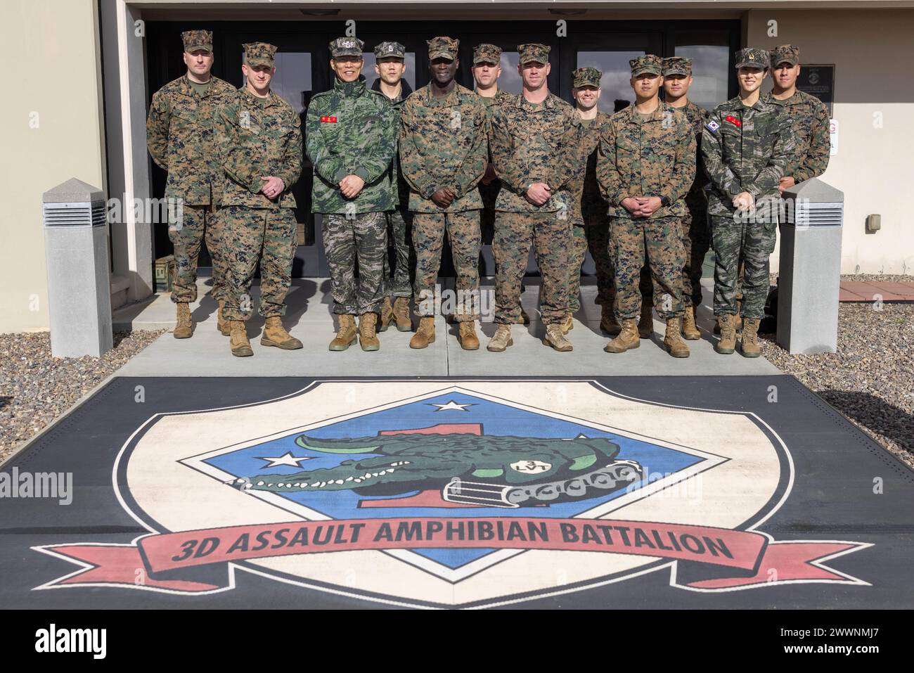 U.S. Marines with 3rd Assault Amphibian Battalion, 1st Marine Division ...