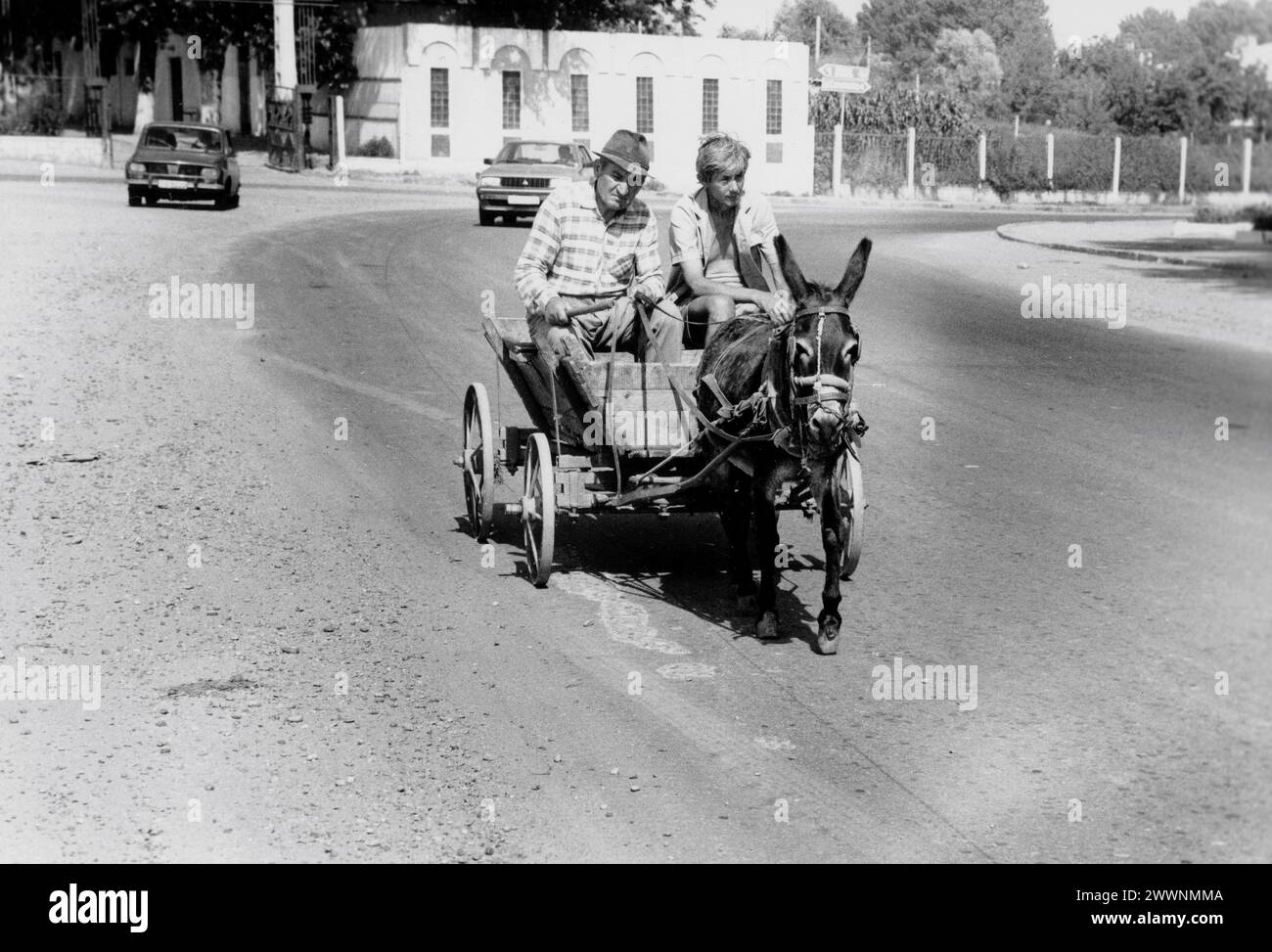 Man riding on donkey cart hi-res stock photography and images - Alamy