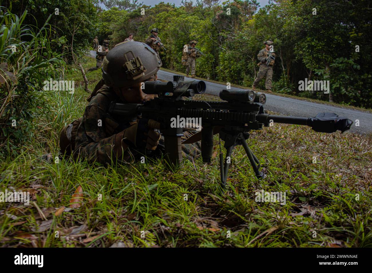 A U.S. Marine with Battalion Landing Team 1/1, 31st Marine ...