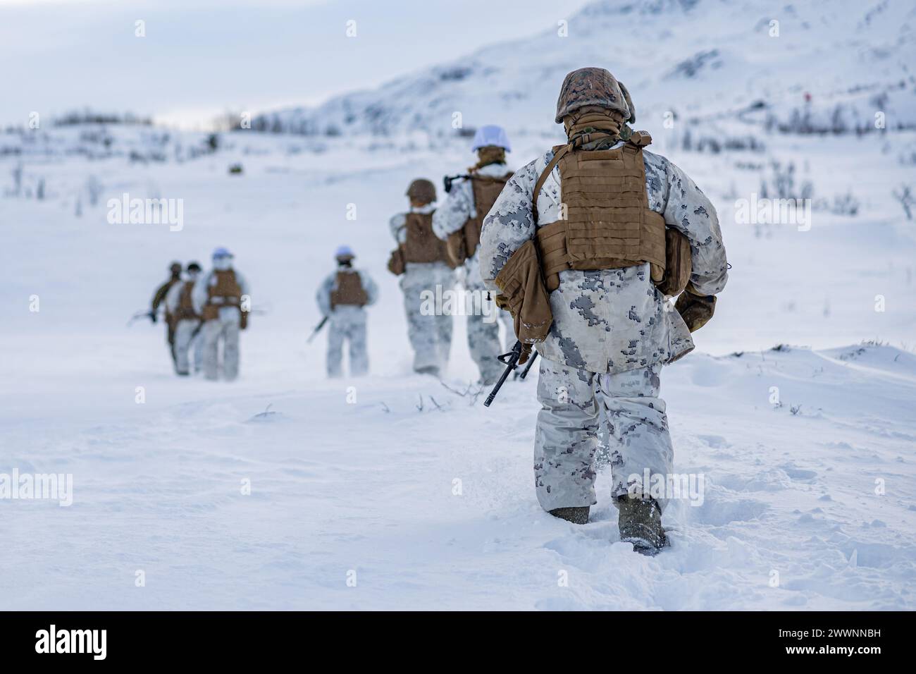 U.S. Marines with Combat Logistics Battalion 6, Combat Logistics ...