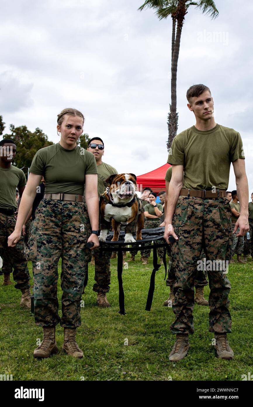U.S. Marine Corps Pfc. Bruno, the Marine Corps Recruit Depot San Diego ...