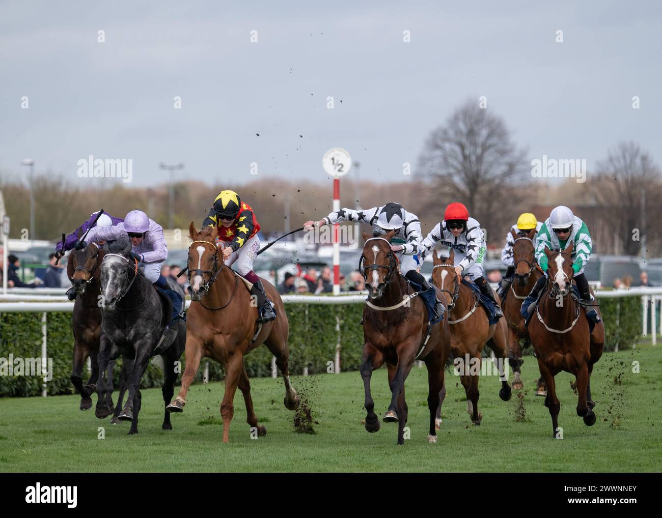 Montassib wins the William Hill Cammidge Trophy at Doncaster on 23 ...