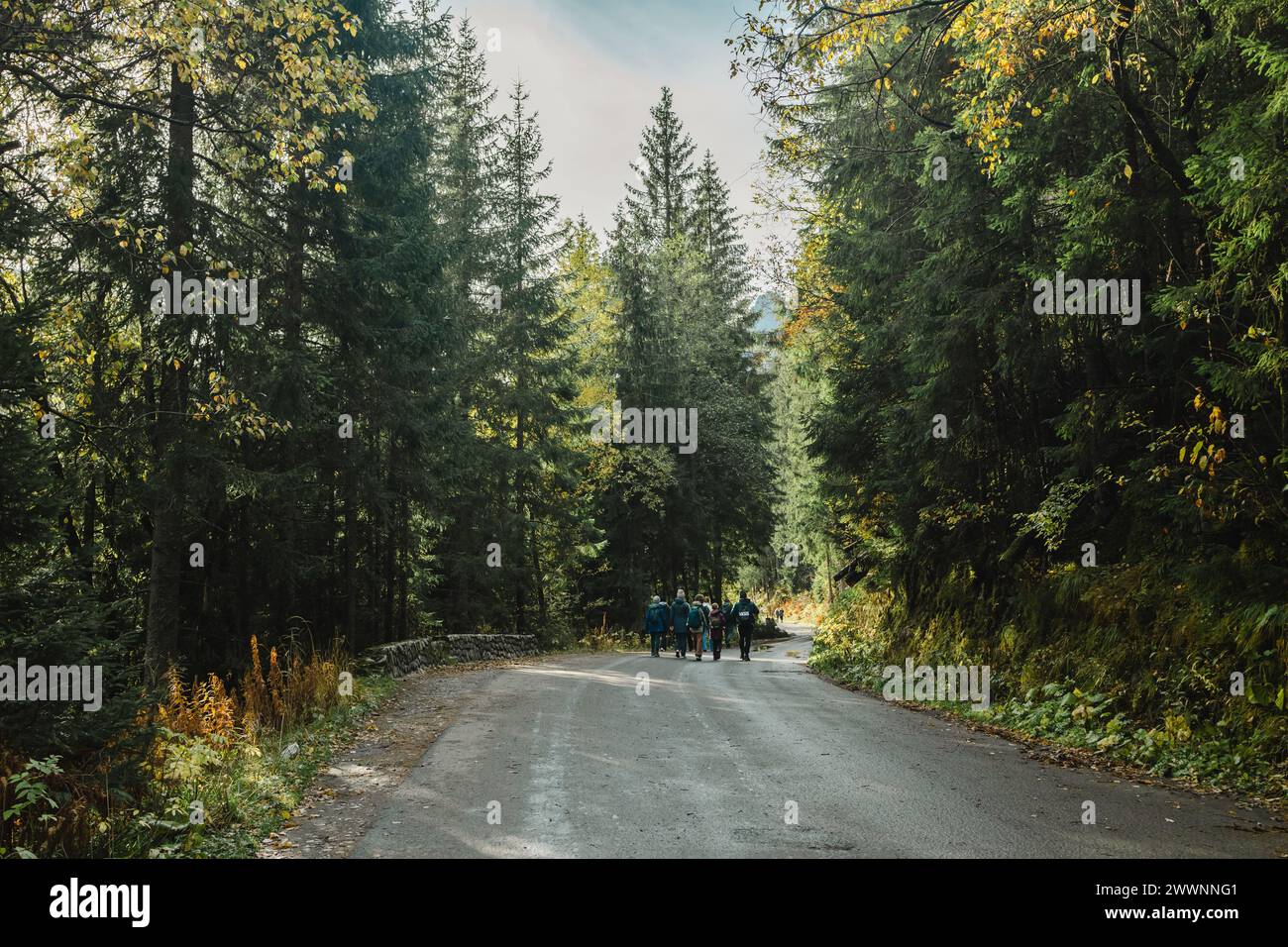 Autumn hike group of tourists on vacation, having a hike in autumn ...