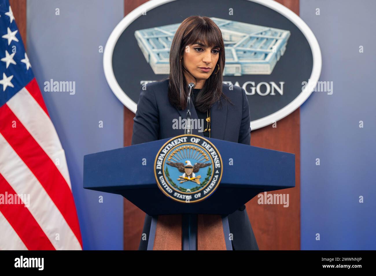 Deputy Pentagon Press Secretary Sabrina Singh conducts a press briefing ...