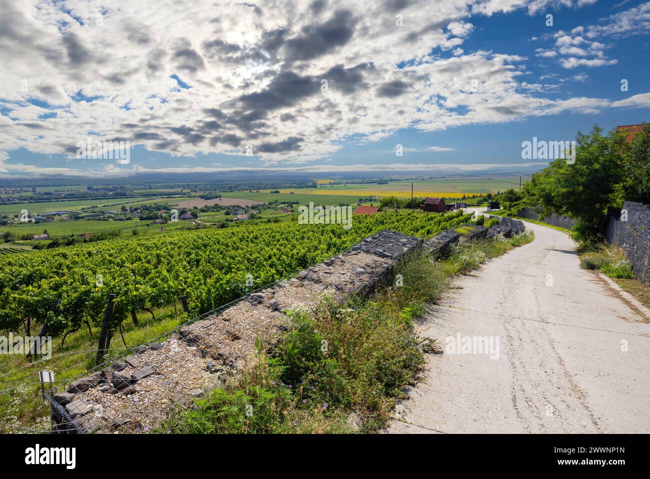 Somló hungary hi-res stock photography and images - Alamy