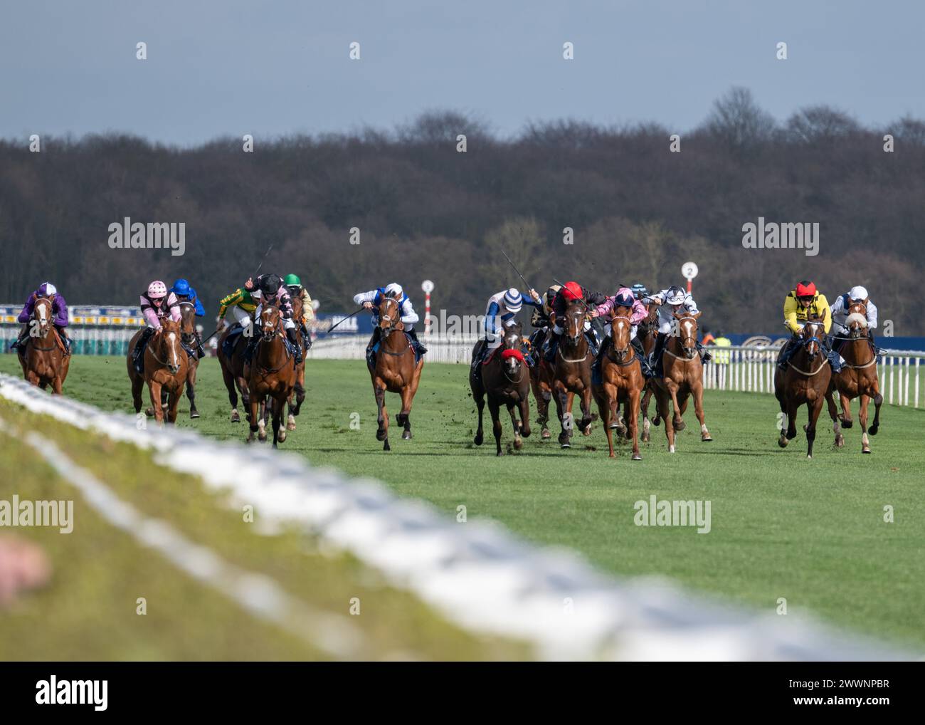 Zminiature wins the William Hill EBF Brocklesby Stakes at Doncaster on ...