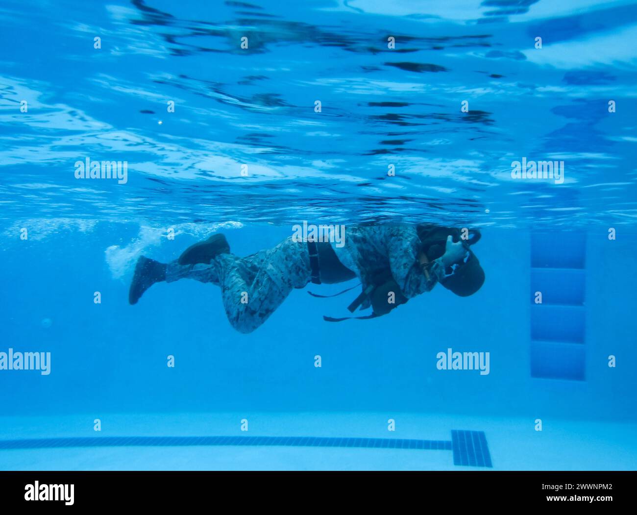 250 meter swim hi-res stock photography and images - Alamy