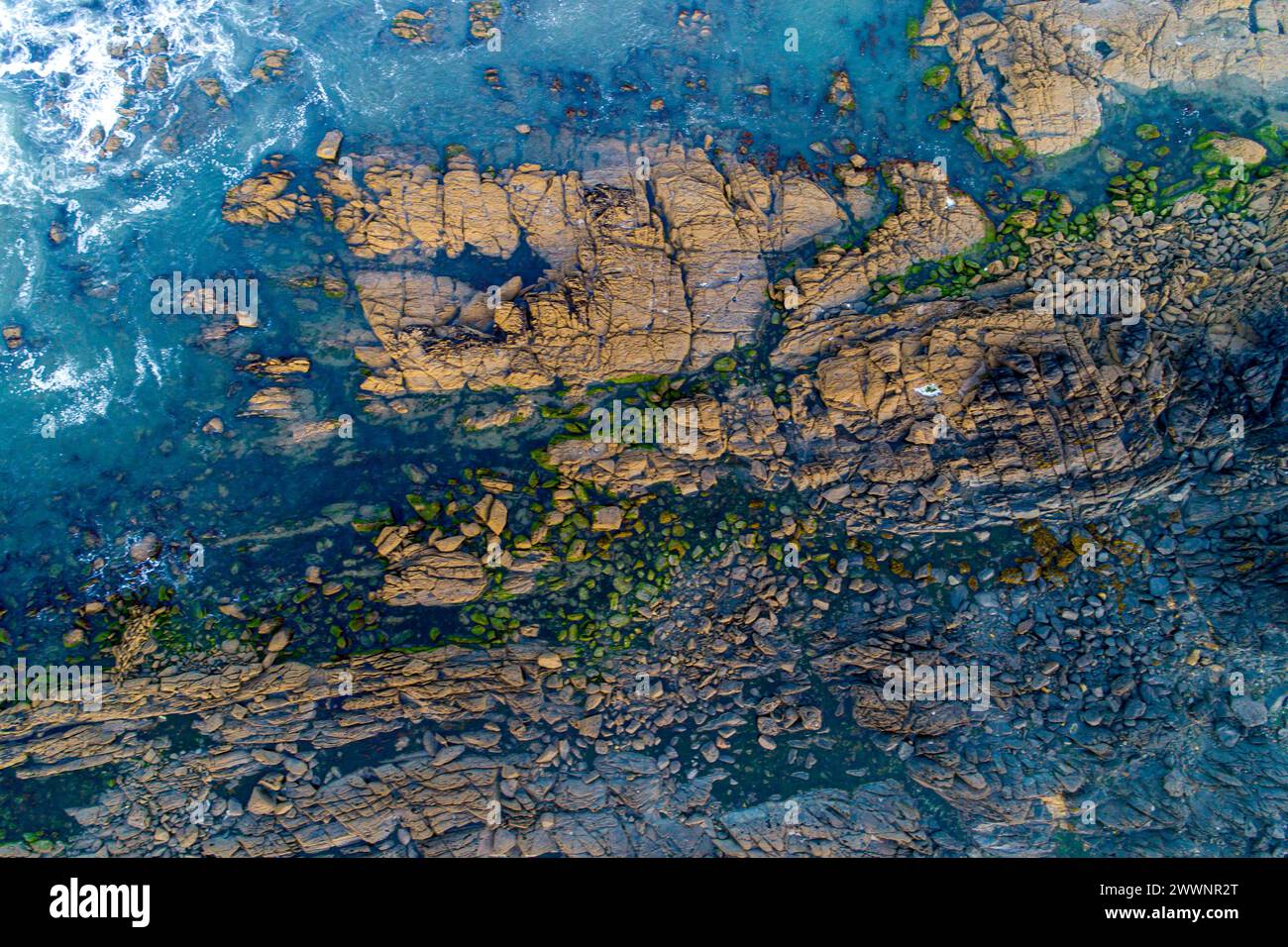 Aerial drone top view of the ocean rocky shore. aerial view of blue ...