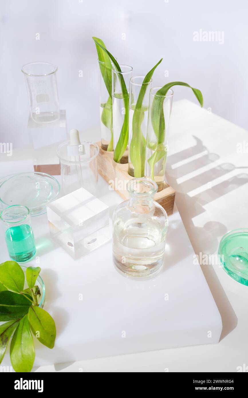 Science and nature concept Stock Photo - Alamy