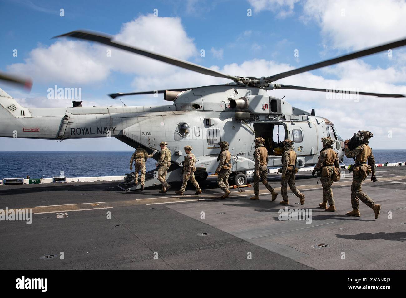 British Royal Marines and U.S. Marines with Alpha Company, Battalion ...